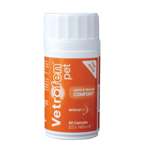 Equine & Canine Supplements | Feel The Difference