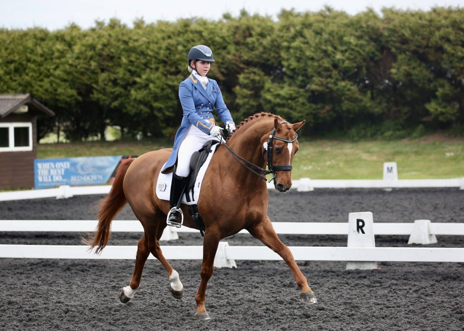 Vetrocalm Healthy | Animalife